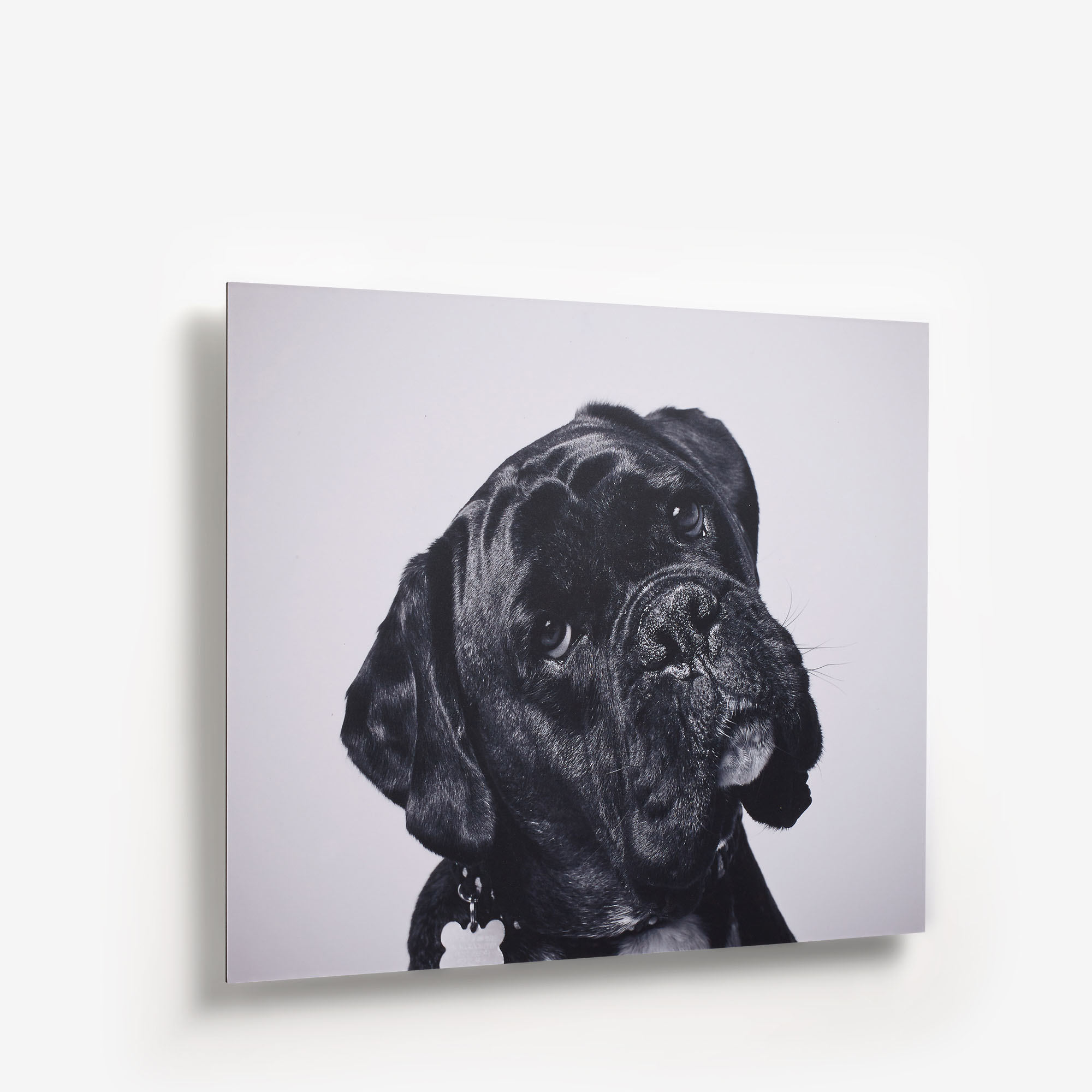 Print on Demand Dibond Photo Prints - Print API, Dropshipping